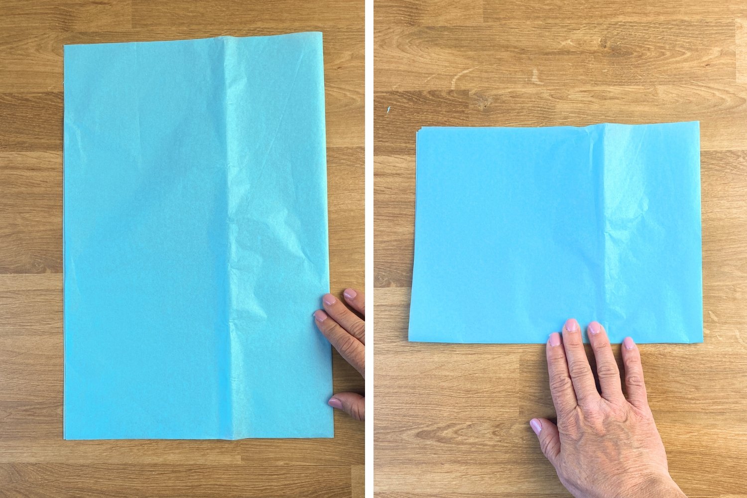 Tissue Paper Flower Tutorial - Blue Susan Makes